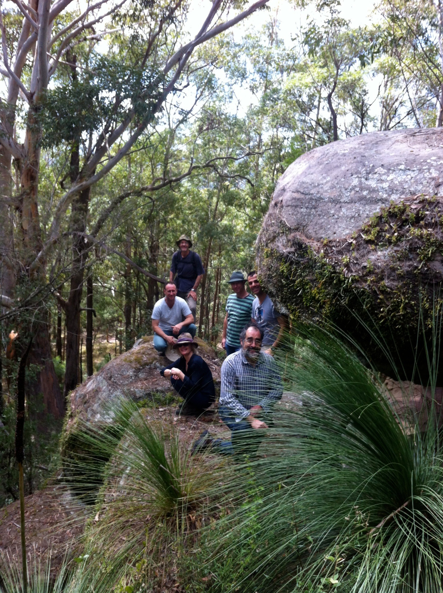Bush Regeneration Sydney Bush Regeneration Central Coast Bush ...
